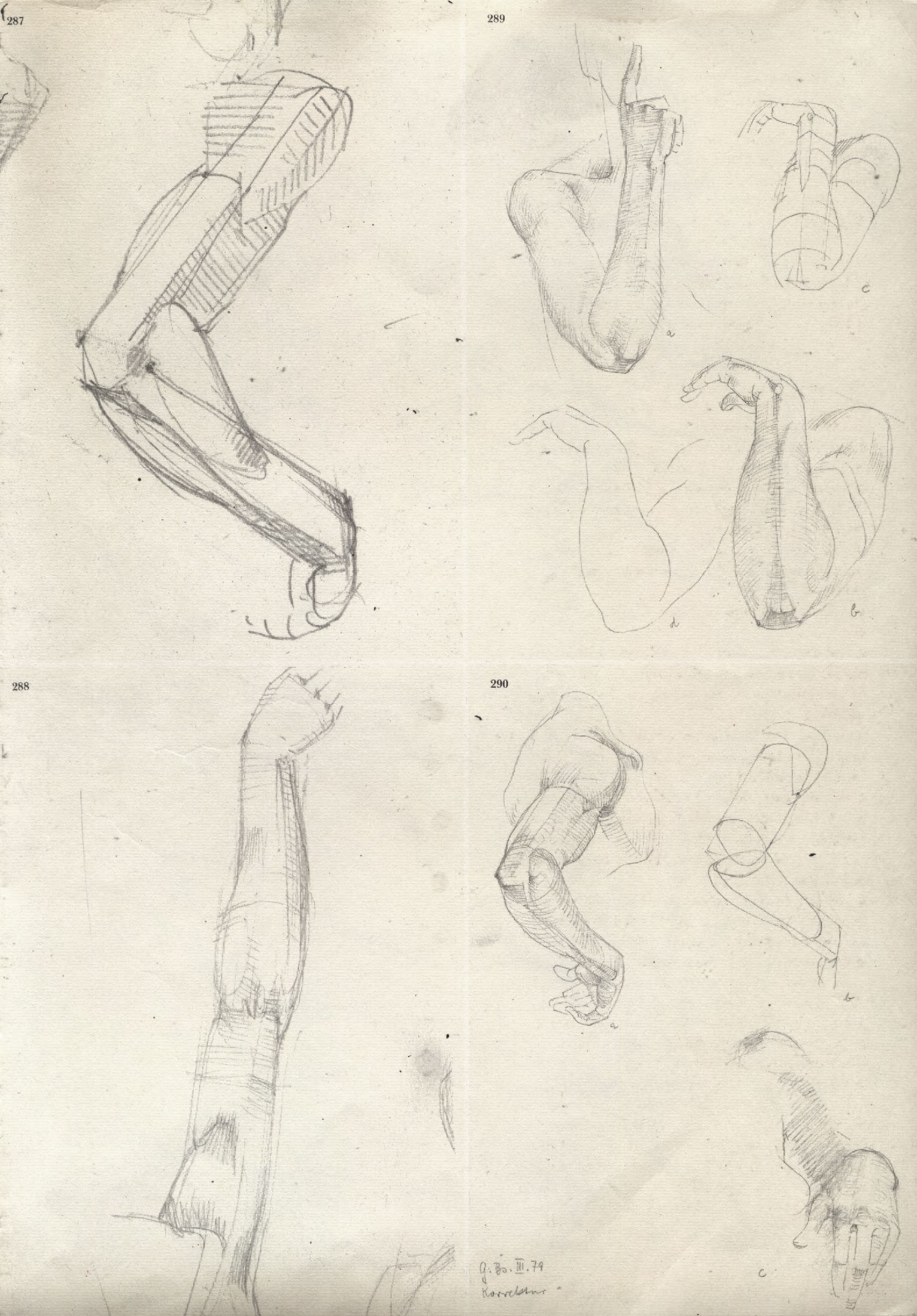 Rendering the Figure : Upper Limbs